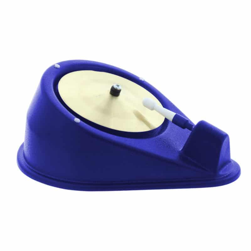 Adapted Musical Instruments for People with Disabilities