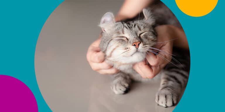 Best Pets for Children With Disabilities | Enabling Devices